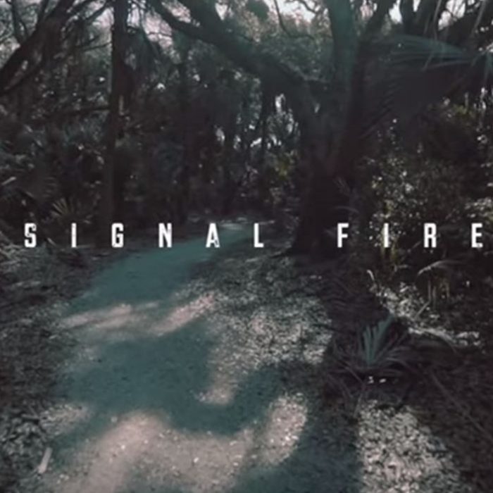 Signal Fire – River (Official Music Video) | Herbal Remedy Radio